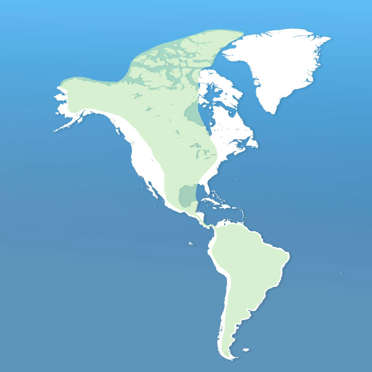 Midcontinent Shorebird Conservation Initiative – Shorebird Habitat ...